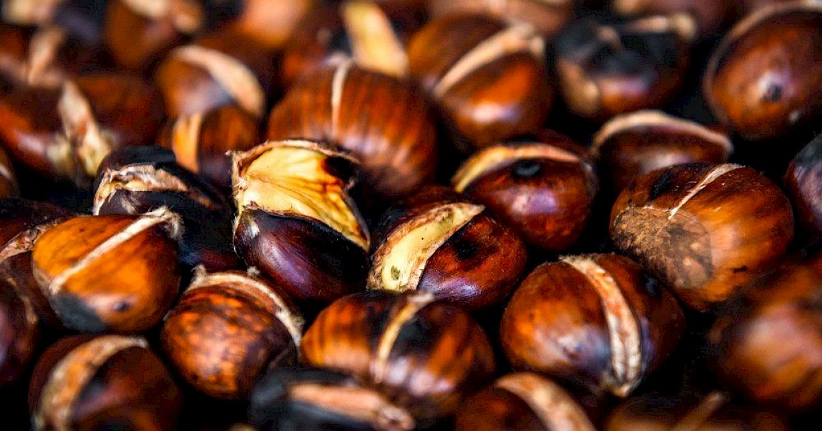 Gesztenyét sütnétek otthon? 5 tipp, hogy tökéletes legyen a végeredmény ...