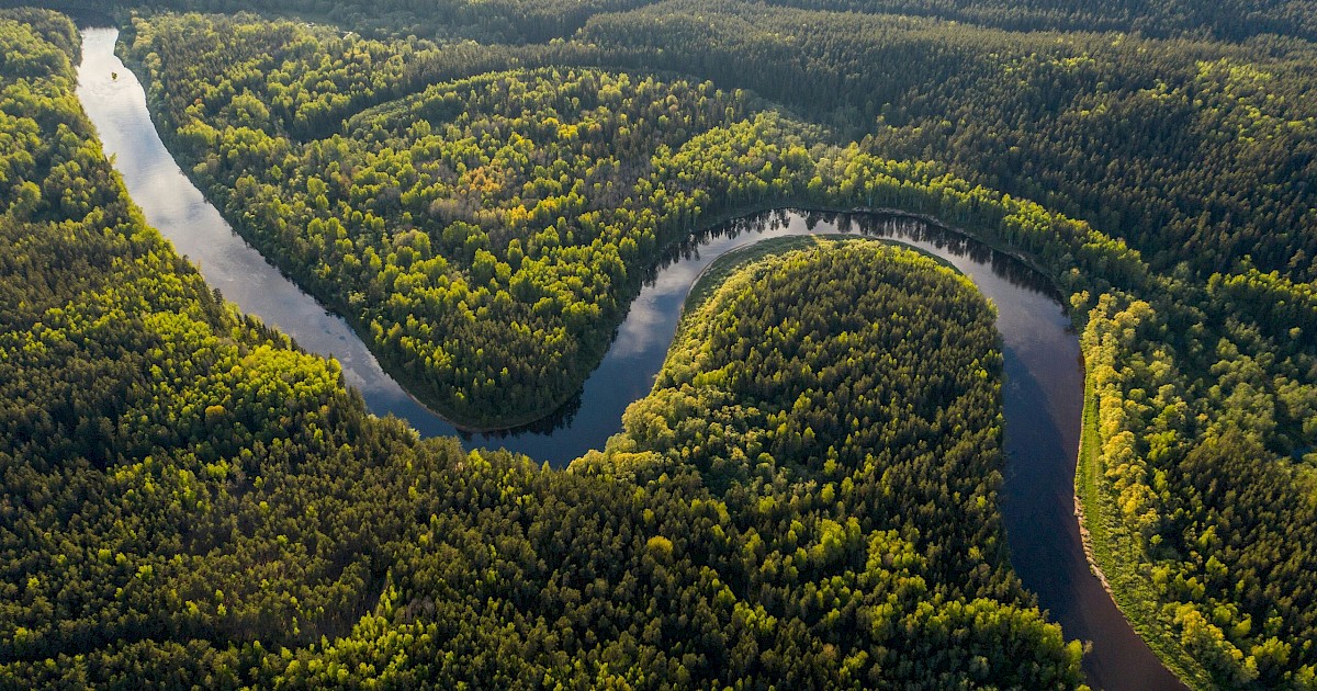 Két évtizeden belül teljesen összeomolhat az Amazonas-medence ...