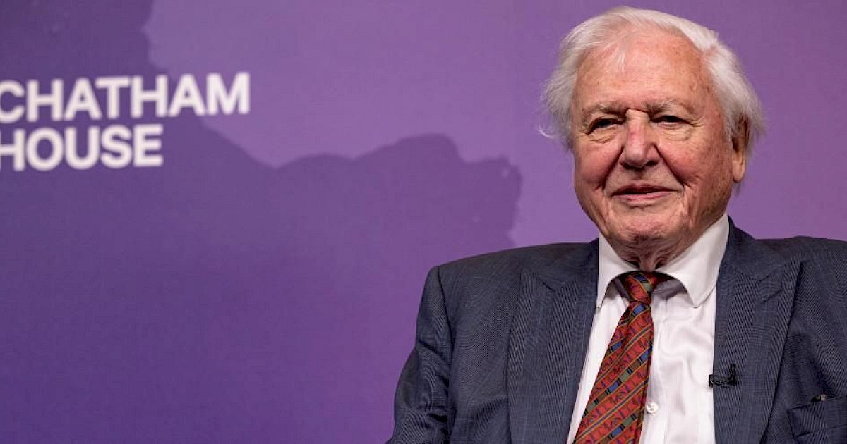 A 96 éves David Attenborough még az idén jelentkezik 2 karácsonyi ...